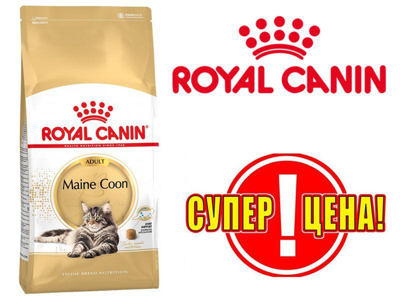Royal Canin (Роял Канін) Maine Coon 10кг для кішок породи Мейн ...