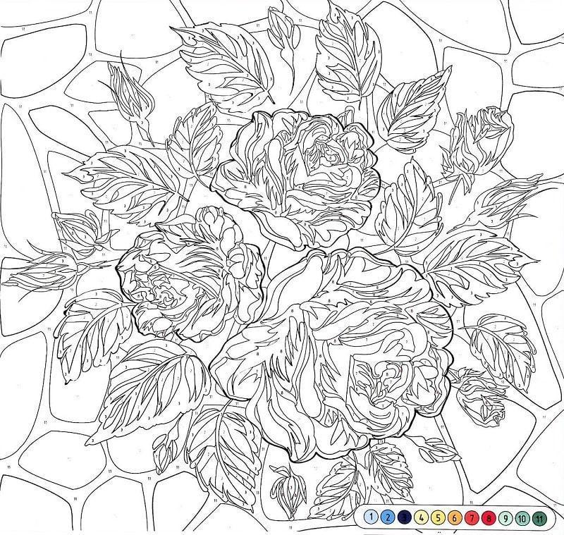 Розмальовка картинки по номерам аркуш, 240*227мм, 10 арк., квіти - 54 ...
